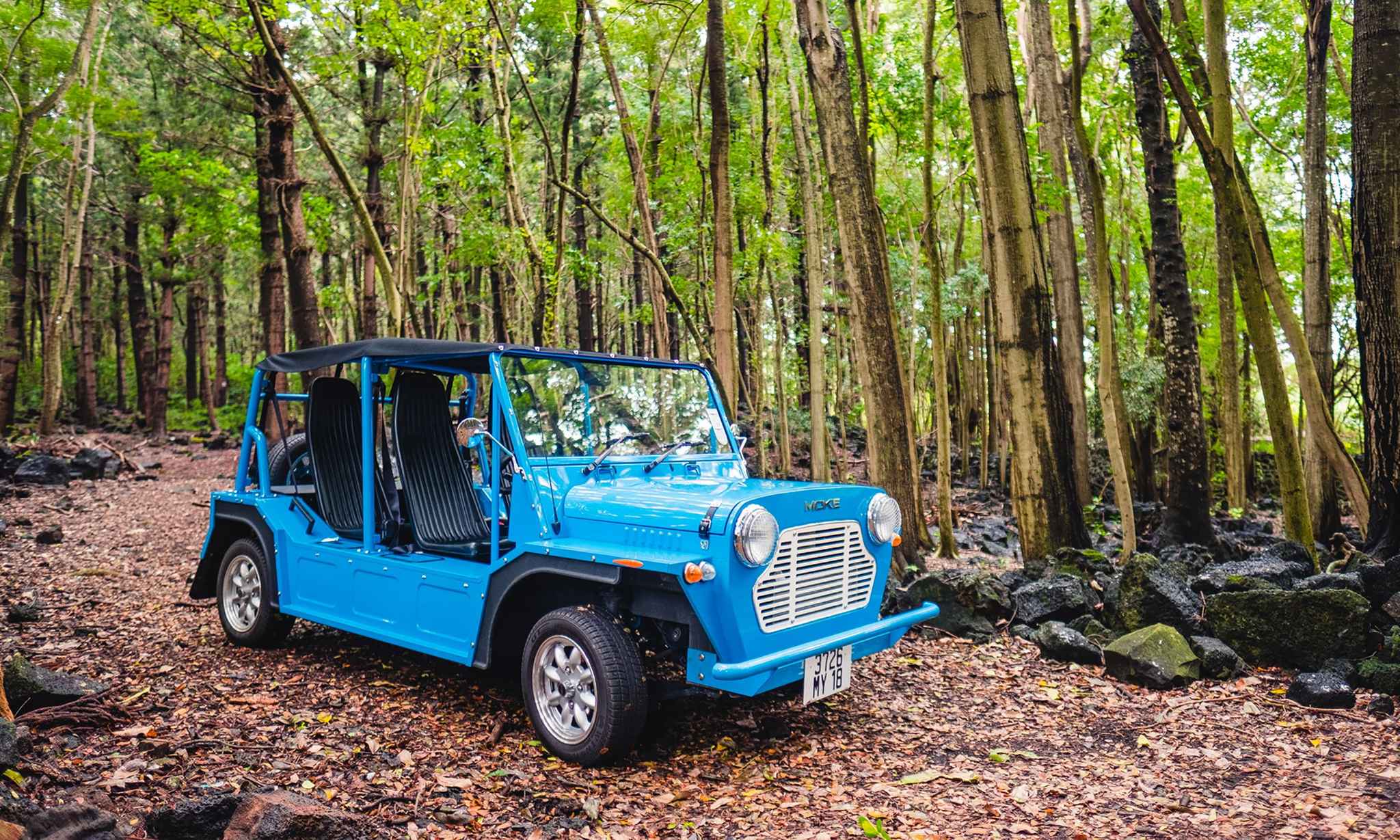 Discover Mauritius - Wanderlust